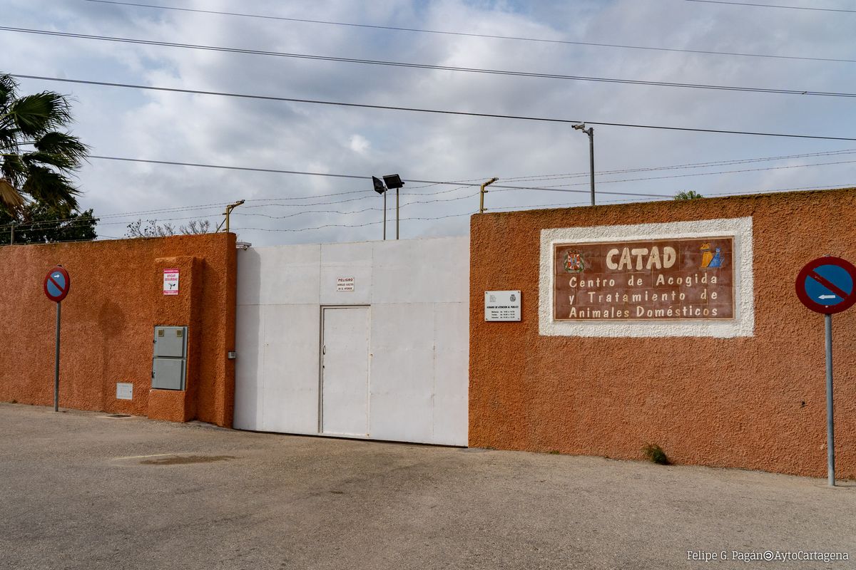 El Ayuntamiento de Cartagena contrata la gestión del CATAD por más de ...